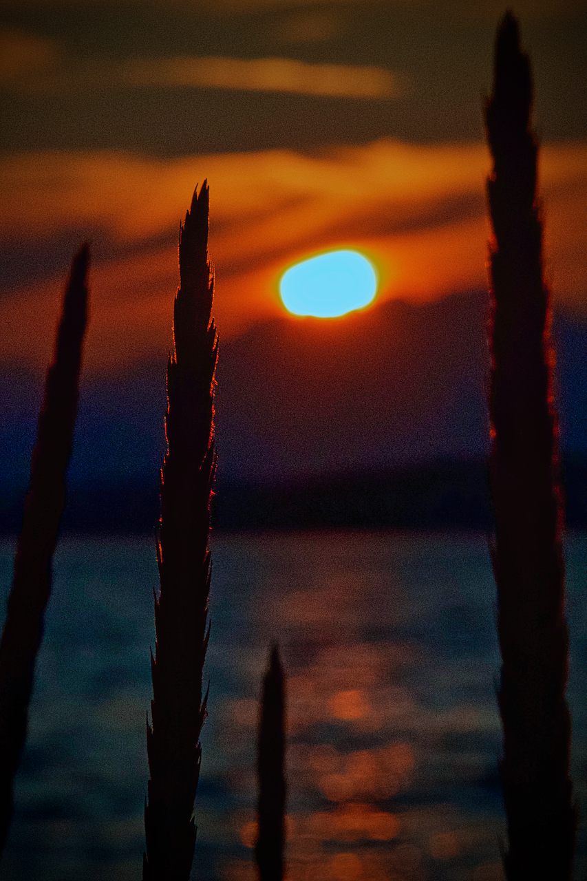 Sunset of the week 8-5-19 | Westside Seattle